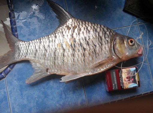 Memancing di Keniam. - AsiaCamp